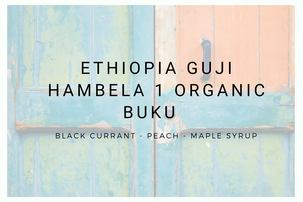 Ethiopia Guji Hambela 1 Organic Buku – MonkeyPod Coffee Roasters